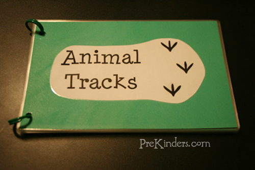 Animal Tracks Book - PreKinders